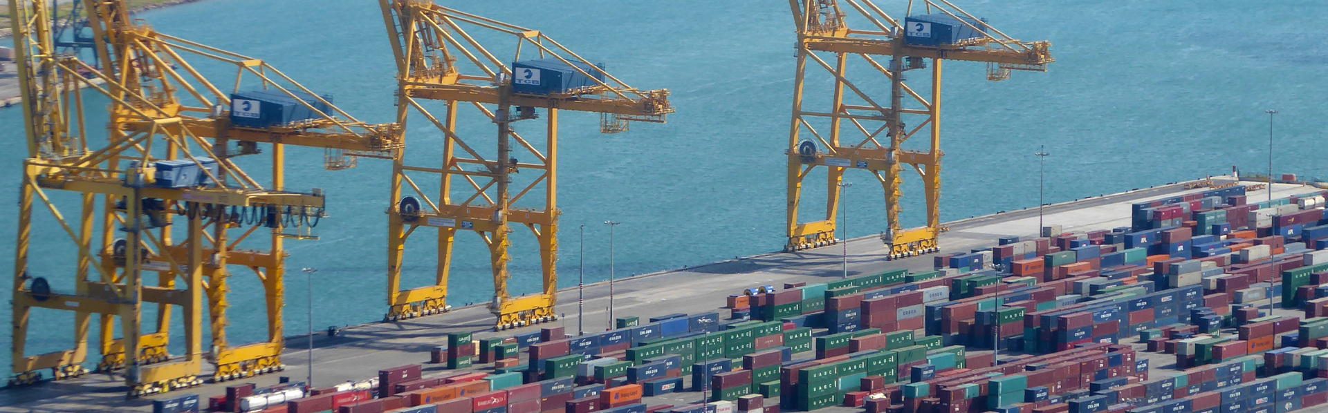 Case Studies | LiveWyer